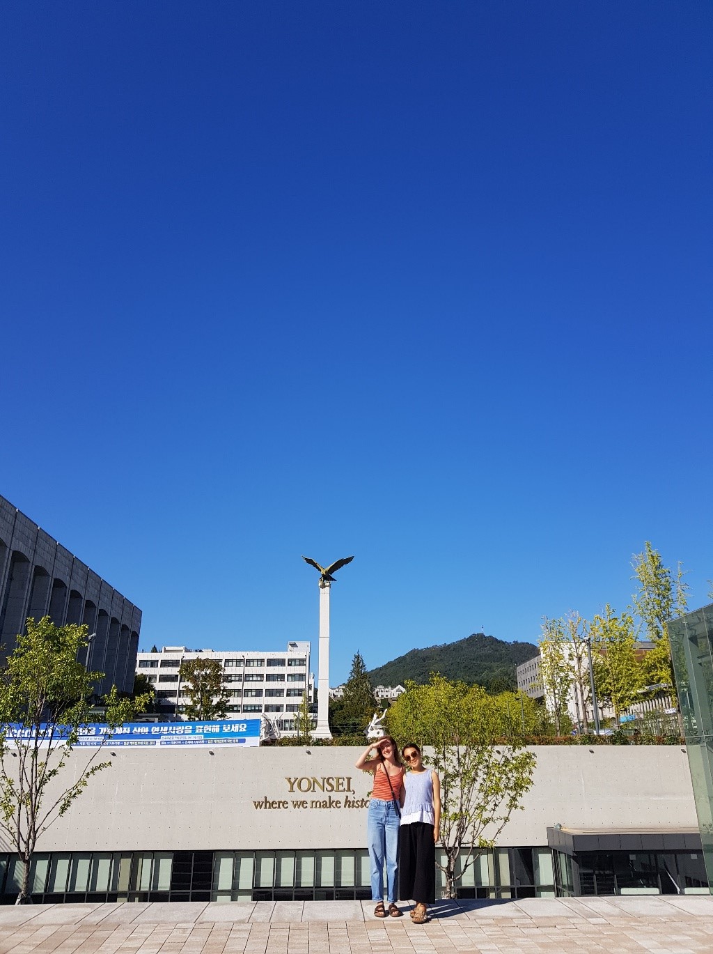 9 things to know before going on exchange to Yonsei – UTS Think Global